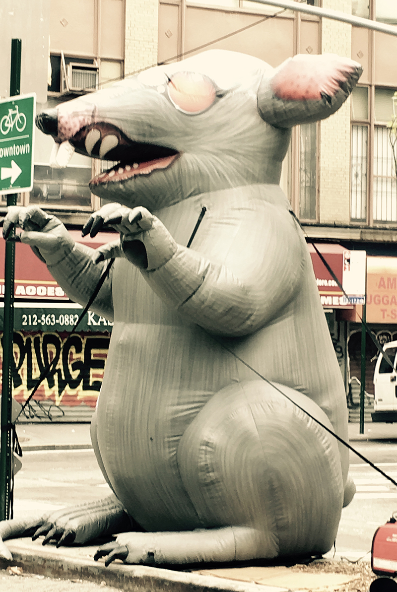 State of the Union Rats: Design Observer